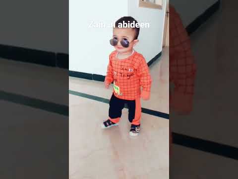 Zain ul Abideen