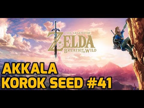 The Legend of Zelda: Breath of the Wild - Akkala - Korok Seed #41