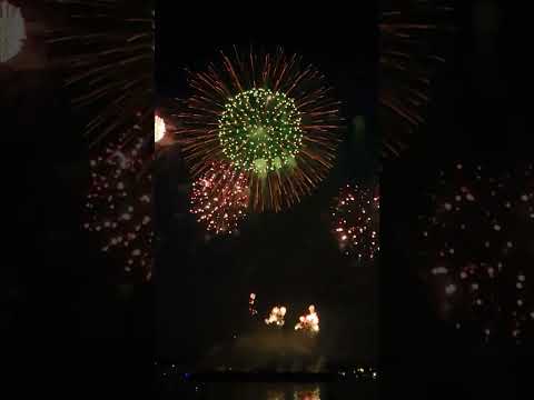 Best Fireworks Ever #shorts #fireworks #festivaloflights