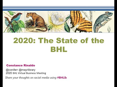 2020: The State of the Biodiversity Heritage Library