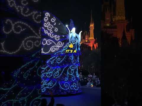 50% Off Disney World Kids Tickets