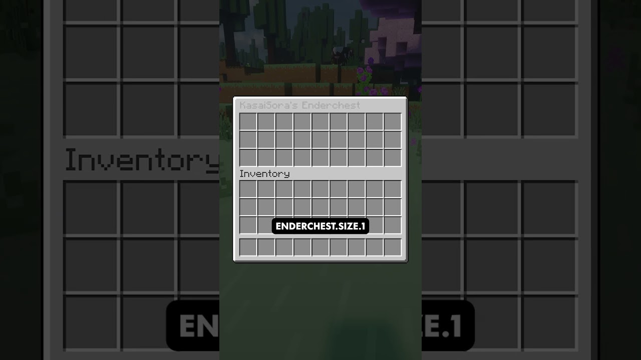 Mini Plugin Showcase | VariableEnderChests - Minecraft Plugin #minecraftshorts #minecraftplugins