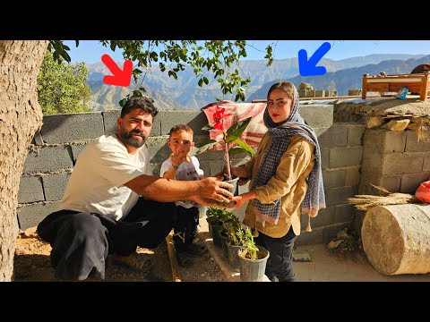 Documentary of nomadic life "Saif Ella's efforts to reach her love"