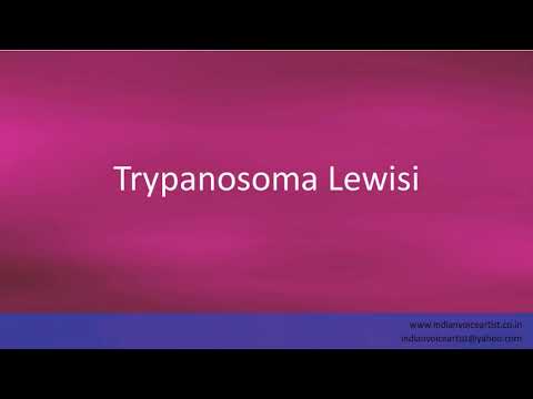 Pronunciation of the word(s) "Trypanosoma Lewisi".