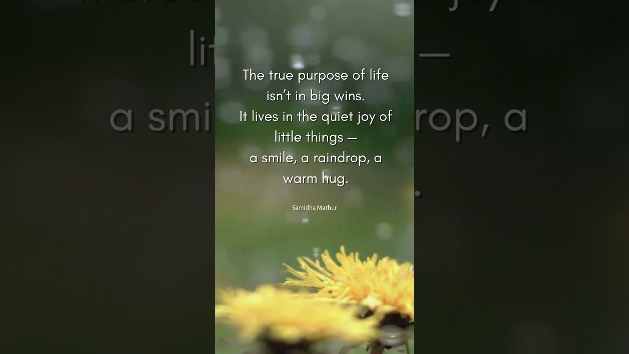 Your daily reminder from Lovely Tiny Things. #motivation #samidhamathur  #quotes