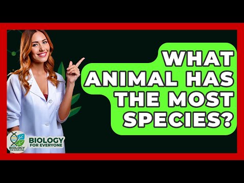What Animal Has The Most Species? - Biology For Everyone