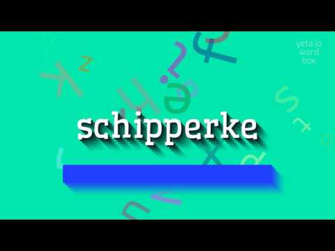How to say "schipperke"! (High Quality Voices)