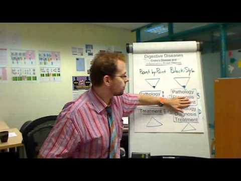 Example Compare And Contrast Essay Using Block Arrangement – EXTIOMESLU