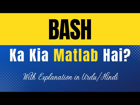 Bash Meaning in Urdu |'Bash Ka Kia Matlab Hota Hai'| Urdu/Hindi Explanation Included