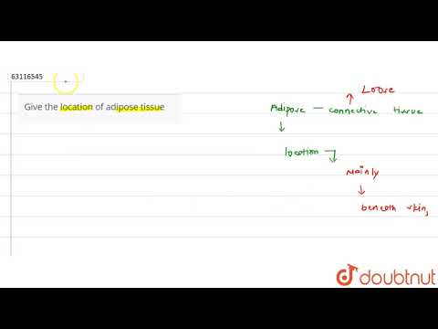 Give the location of adipose tissue