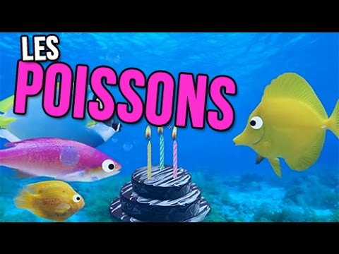 Les poissons, joyeux anniversaire humour, carte anniversaire animée