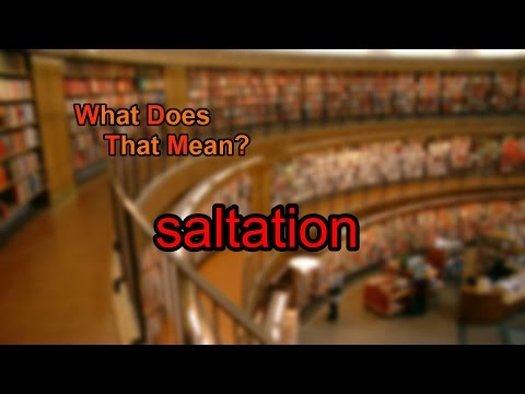 What does saltation mean?
