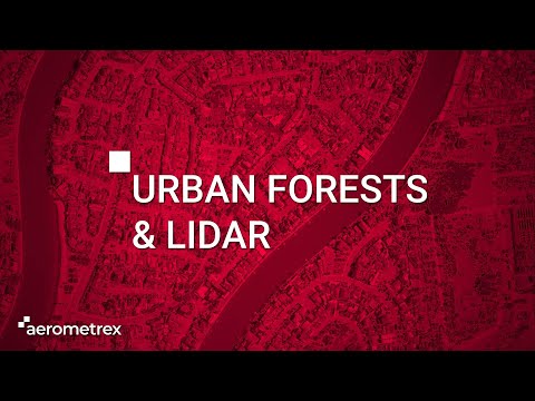 Urban Tree Canopy and Vegetation Management with Aerometrex LiDAR