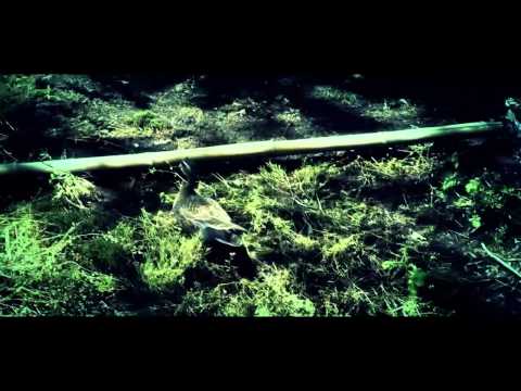 Steam Community :: Video :: landscape / tcheb【MV】