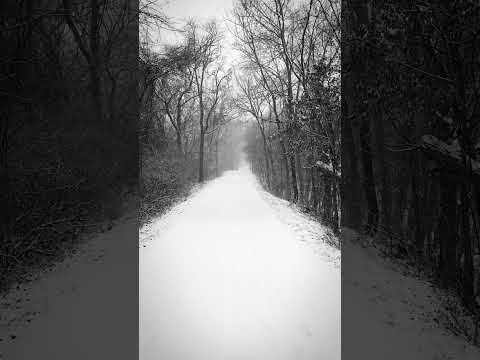 Hunger Is A Ghost #music #ytmusic #song #thelongdarkgame #survival #struggle #mellowsong #hunger