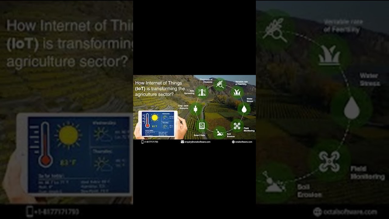 Smart Farming with IoT | How the Internet of Things is Revolutionizing Agriculture