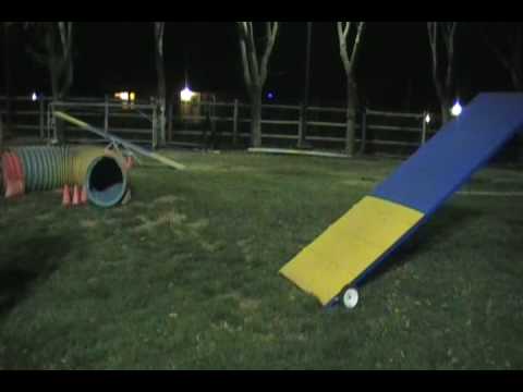 Liz latent learning.wmv