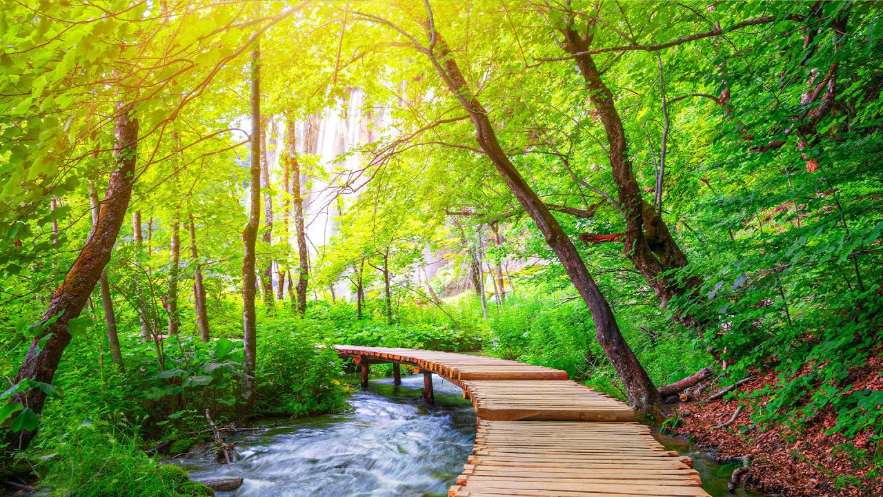 Ultimate Stress Relief - Soothing Music for Relaxation, Meditation and Anxiety Reduction