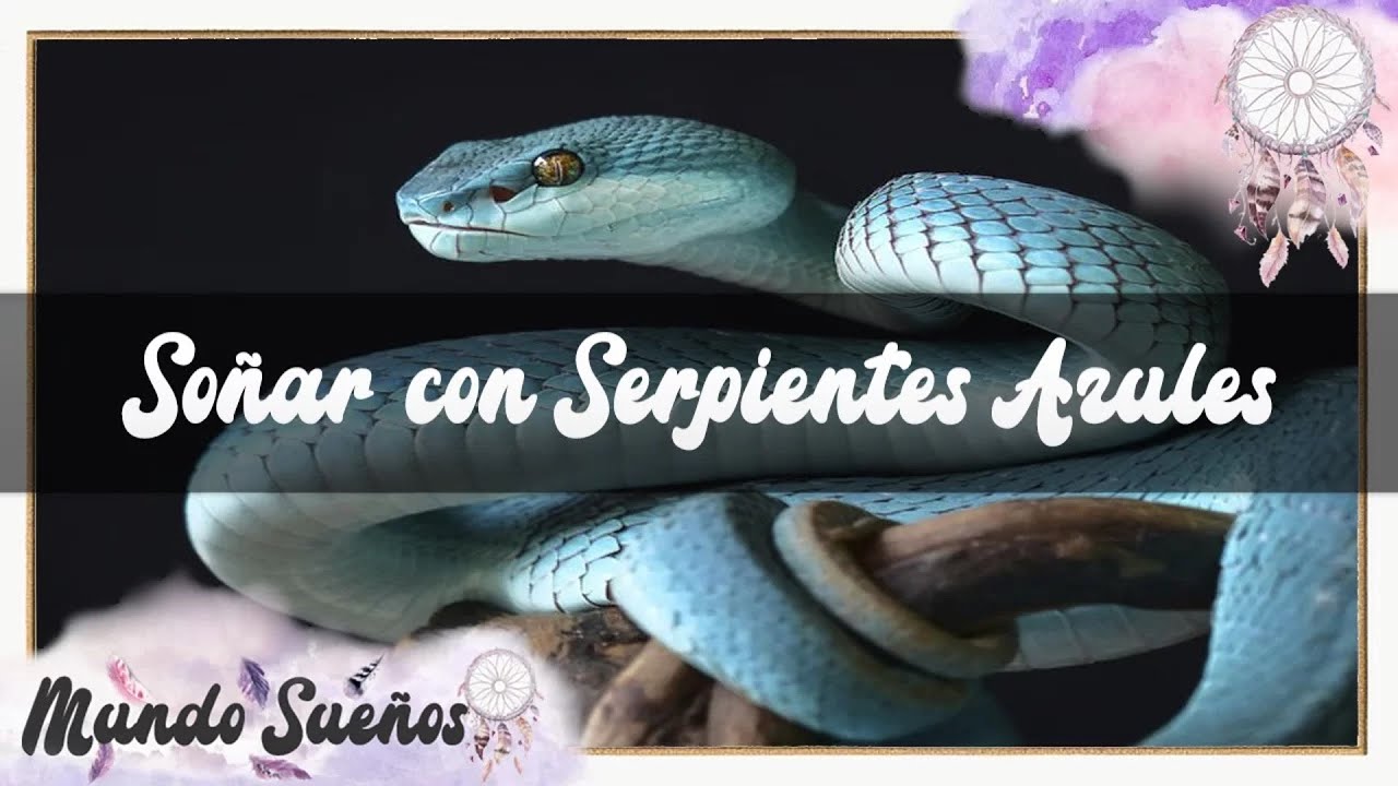 DREAMING OF BLUE SNAKES🐍🐍 MEANING OF DREAMING OF A BLUE SNAKE💦💦, WITH BLUE VIPERS🐍🐍