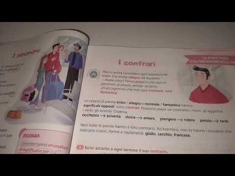I Sinonimi e i Contrari 🧑🏫