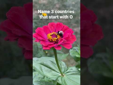 Name 3 countries that start with O