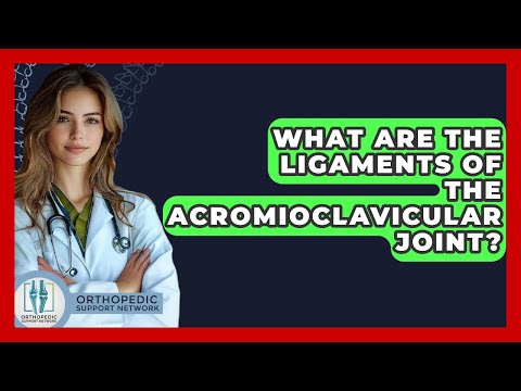 What Are The Ligaments Of The Acromioclavicular Joint? - Orthopedic Support Network