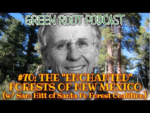 Green Root Podcast #70: THE “ENCHANTED” FORESTS OF NEW MEXICO (w/ Sam ...