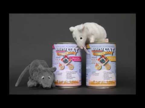 Tierfutter | Hundefutter online bequen kaufen
