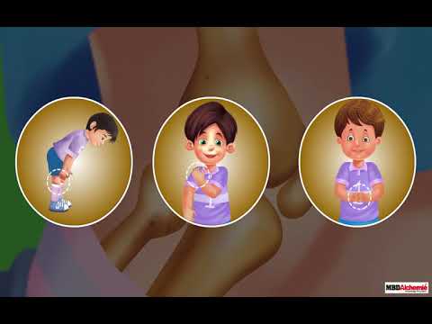 Types of Joints in the Human Body | NCERT Class 6 Science