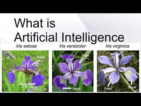 What Is AI and Machine Learning Explained in Simple Urdu!