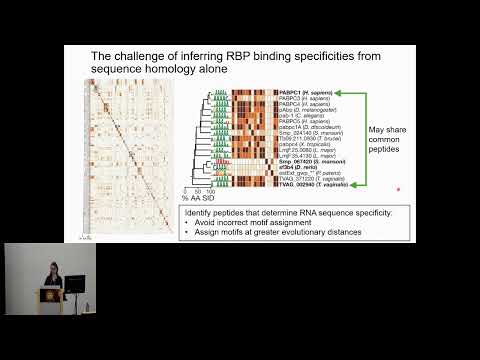 Reconstructing the sequence specificities of RNA-binding... - Kaitlin Laverty - iRNA - ISMB 2024