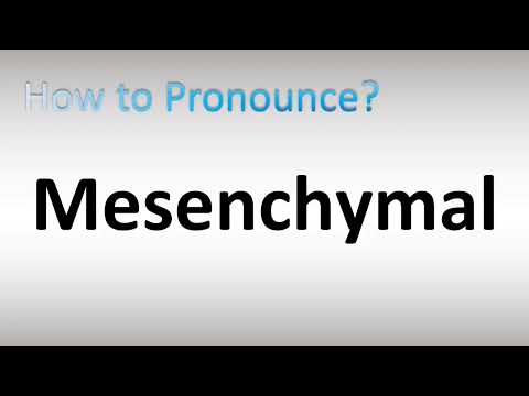 How to Pronounce Mesenchymal