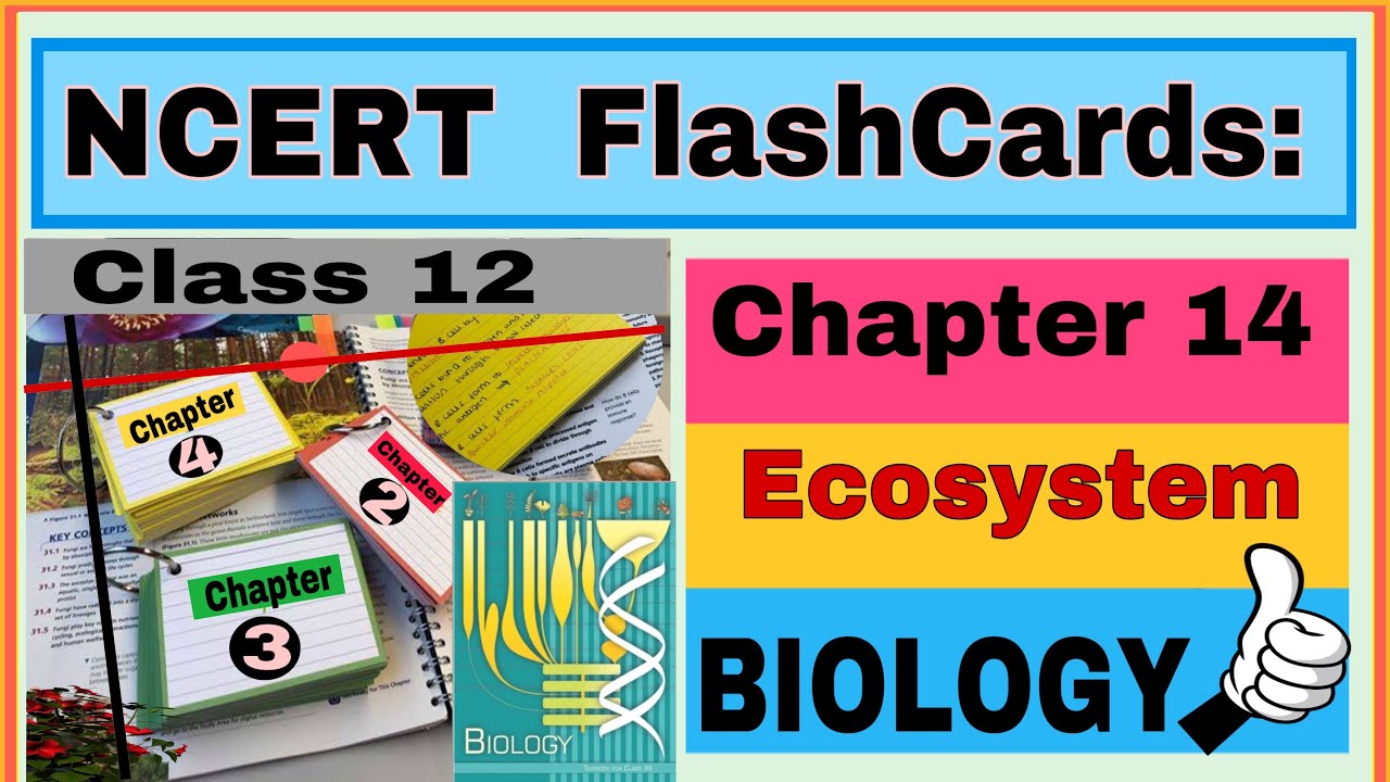NCERT Flashcards…Chapter 14 - Ecosystem / Class 12 / Biology / by Neerja