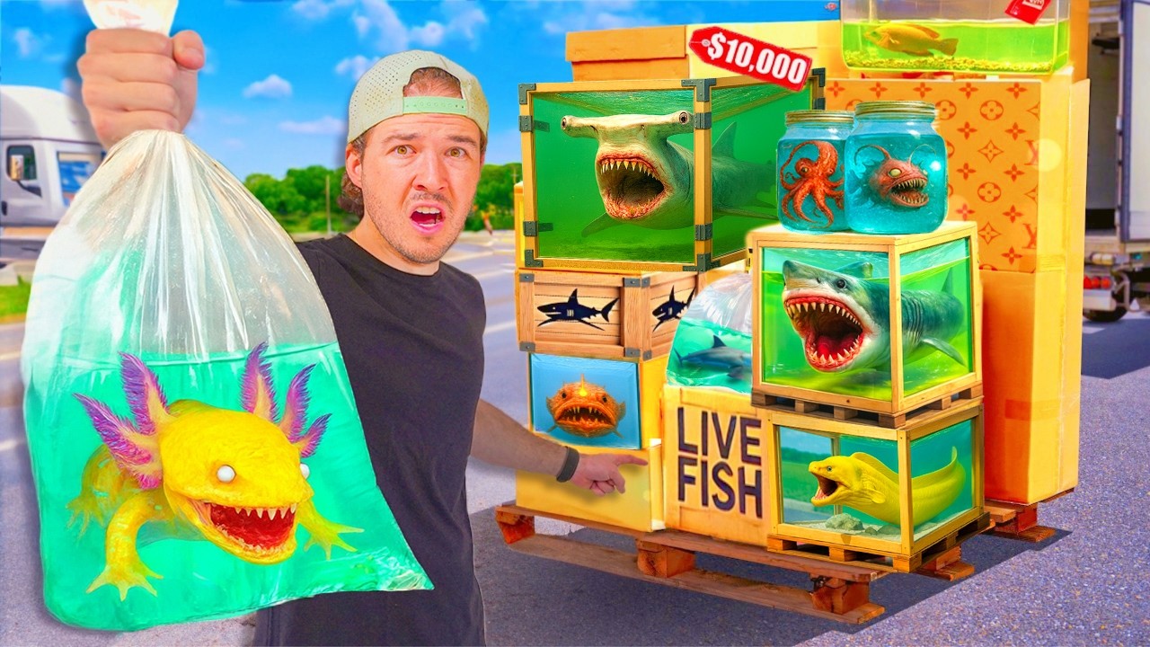 $1 vs $10,000 Live Fish Mystery Box! (what's inside?)