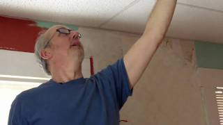 Plaster Magic Ceiling Repair: Part 1 - Old House Professionals Video By ...