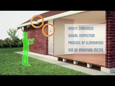 Salt Damp Treatment Adelaide