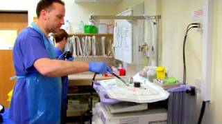 Endoscopy Technician Overview | What is an endoscopy technician? - Zippia