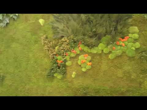 YO1 Wellness Center's incredible "living wall"