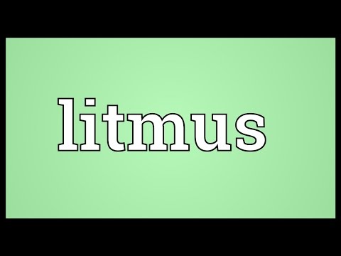 Litmus Meaning
