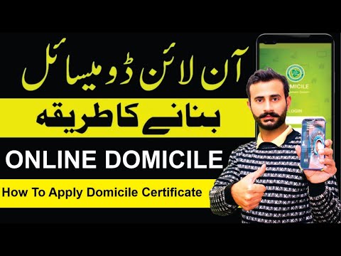 How to Apply for Domicile Certificate Online in Pakistan I Procedure and Required Documents