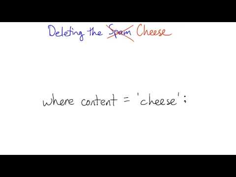 Learn Deleting the Cheese Intro to Relational Databases - Mind Luster