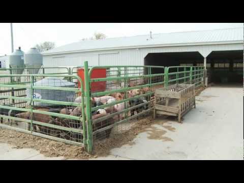 Agriculture, Animal Science, and the Meat Laboratory at Hawkeye Community College