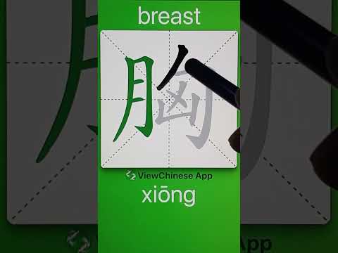 How to Write 胸(breast) in Chinese? App Name :《ViewChinese》&《My HSK》