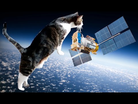 Altitude of Geostationary Satellites. What is an Orbit?