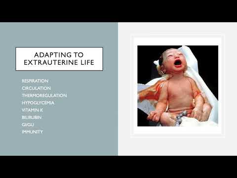 NEWBORN ASSESSMENT