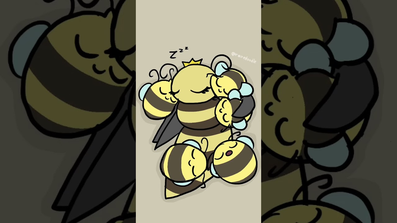 Bee snuggles #animation #bee #framebyframe