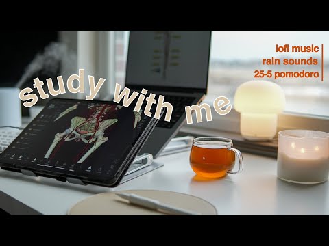 3 hour study with me | lofi & gentle rain 🌧 | 25-5 pomodoro timer (ver.2)
