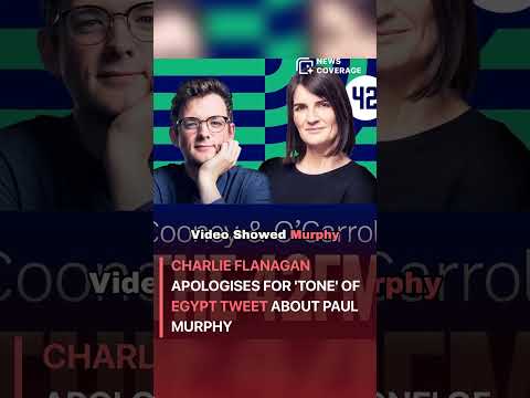 Charlie Flanagan apologises for 'tone' of Egypt tweet about Paul Murphy #politics