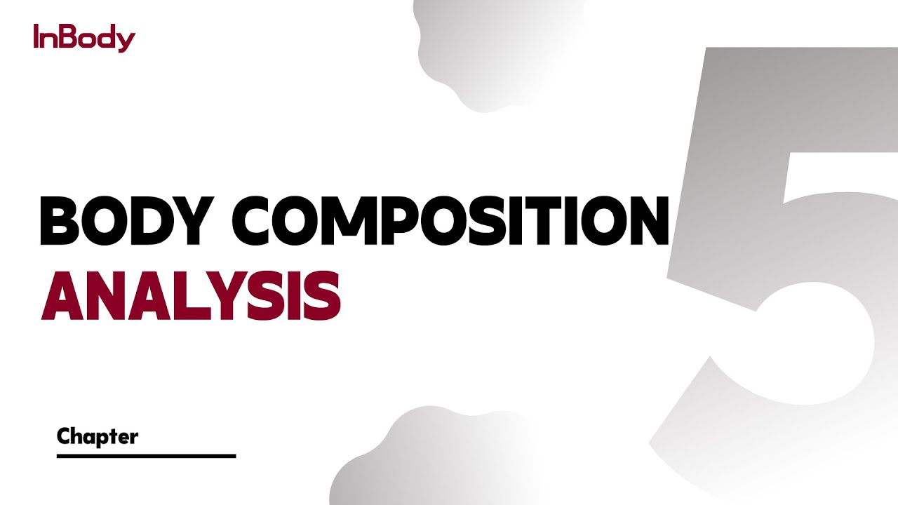5. Body Composition Analysis