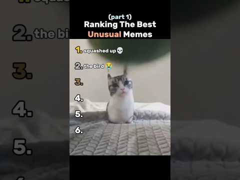 Best Unusual Memes😭 #funny #memes #unusualmemes #shorts